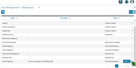 Workgroup Options